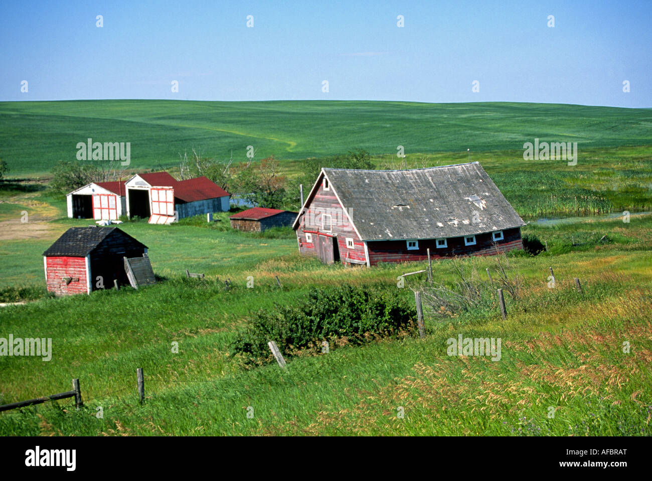 An ancient barn on an abandoned wheat farm, Saskatchewan, Canada Stock ...