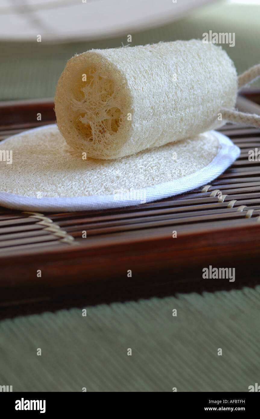 Dried loofah hi-res stock photography and images - Alamy
