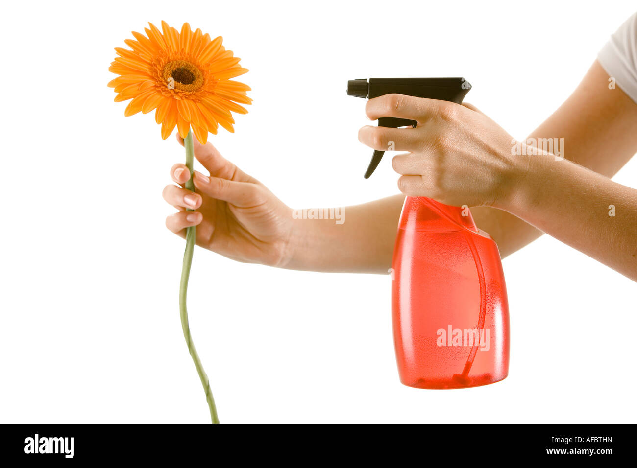 Spraying photos hi-res stock photography and images - Alamy