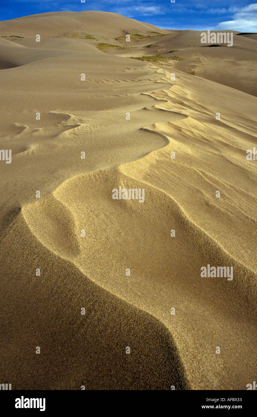 Windblown sand and ridges Great Sand Dunes national park Colorado USA ...