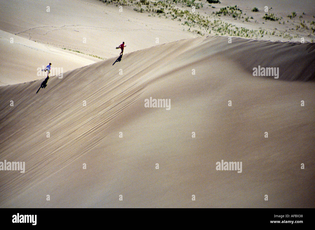 Sandboarders walking up a dune crest Great Sand Dunes national park ...
