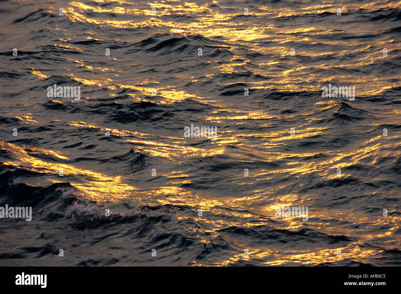 Setting sunlight details ocean waves Florida Keys Florida Stock Photo ...