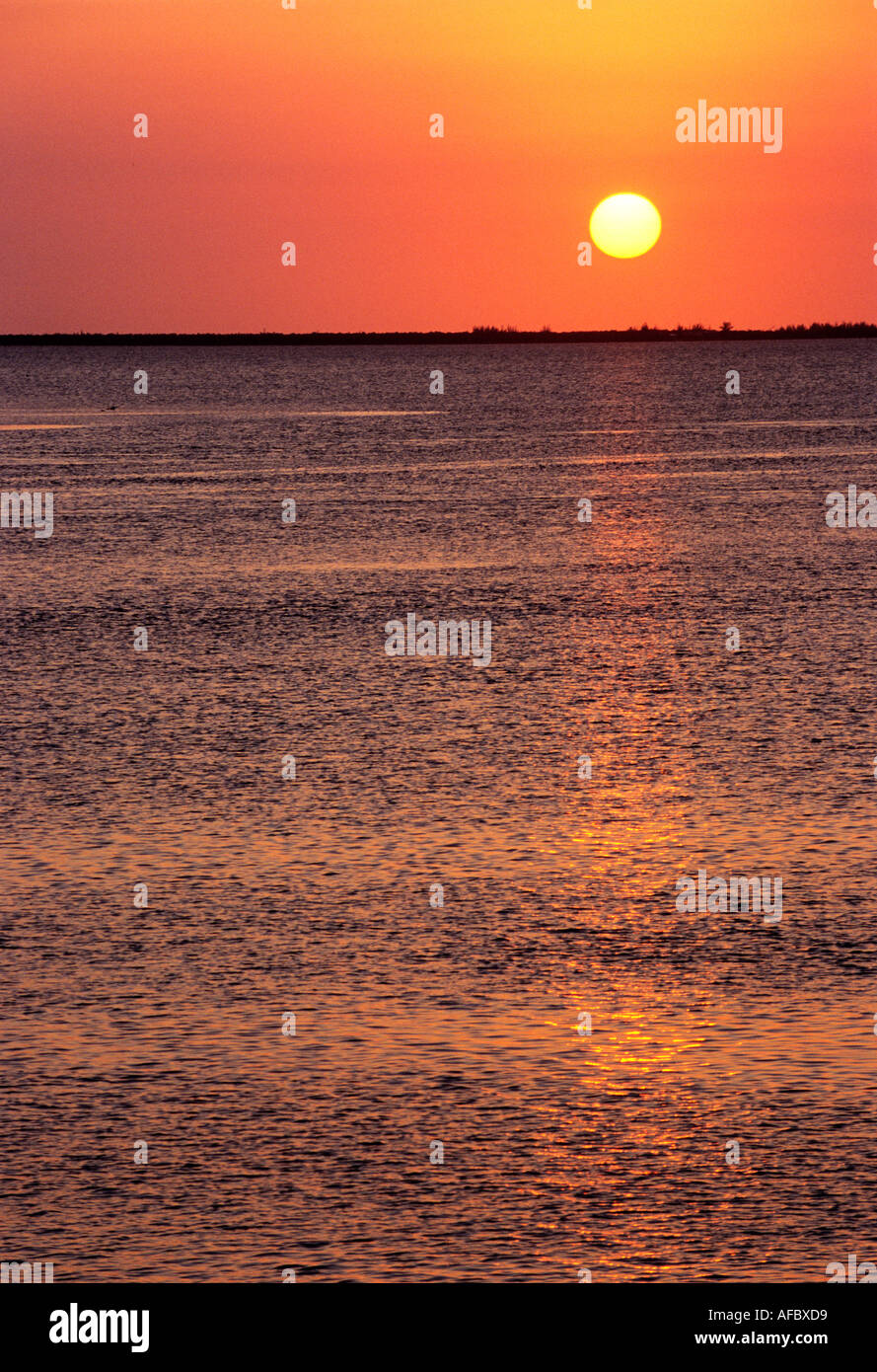 Setting sun shimmers upon endless ocean Marathon Key The Florida Keys ...