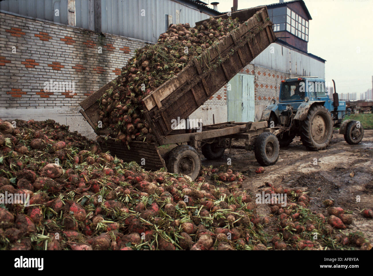 Collective farm russia hi-res stock photography and images - Alamy
