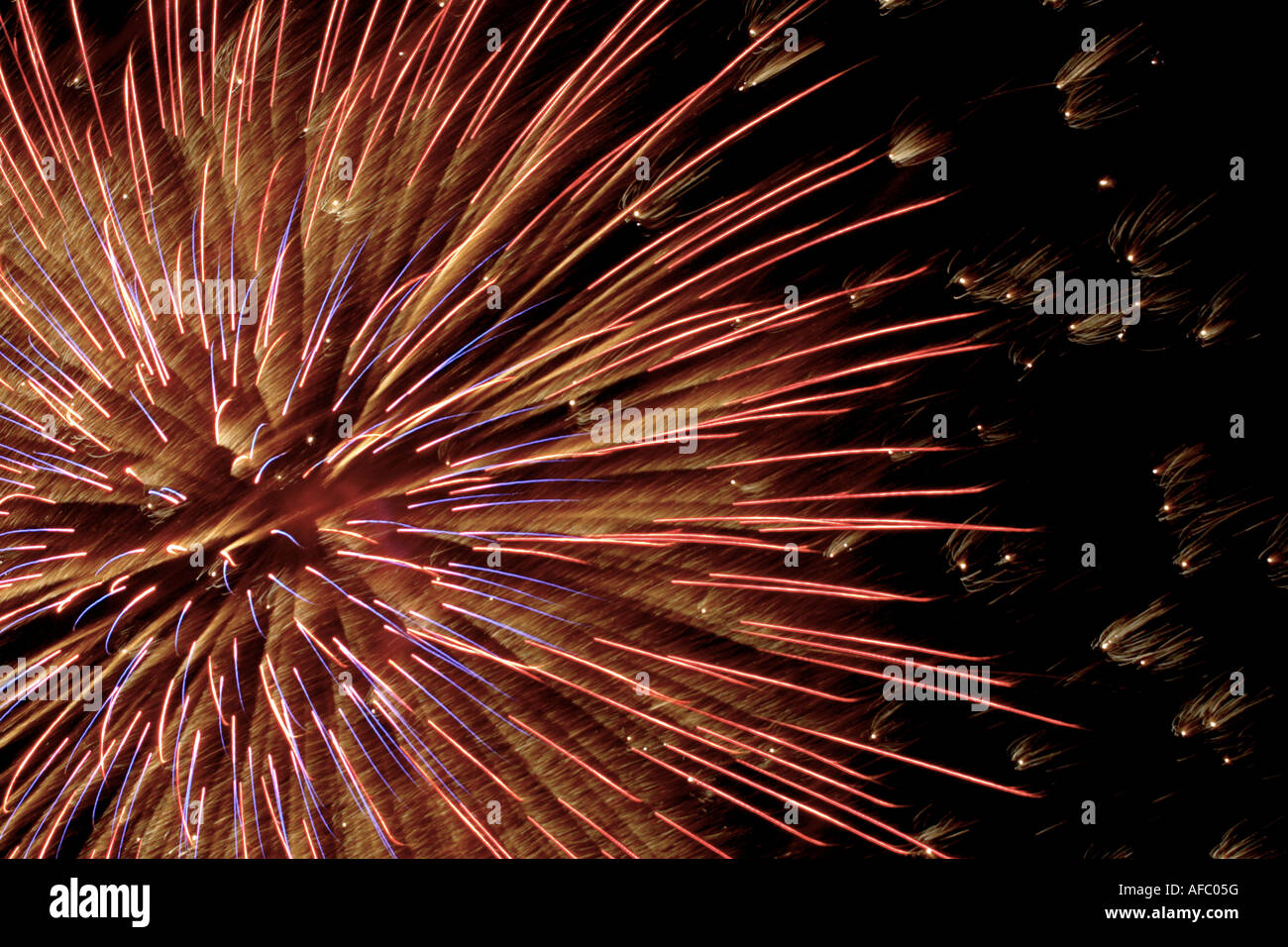 Bright fireworks exploding against a night sky Stock Photo - Alamy