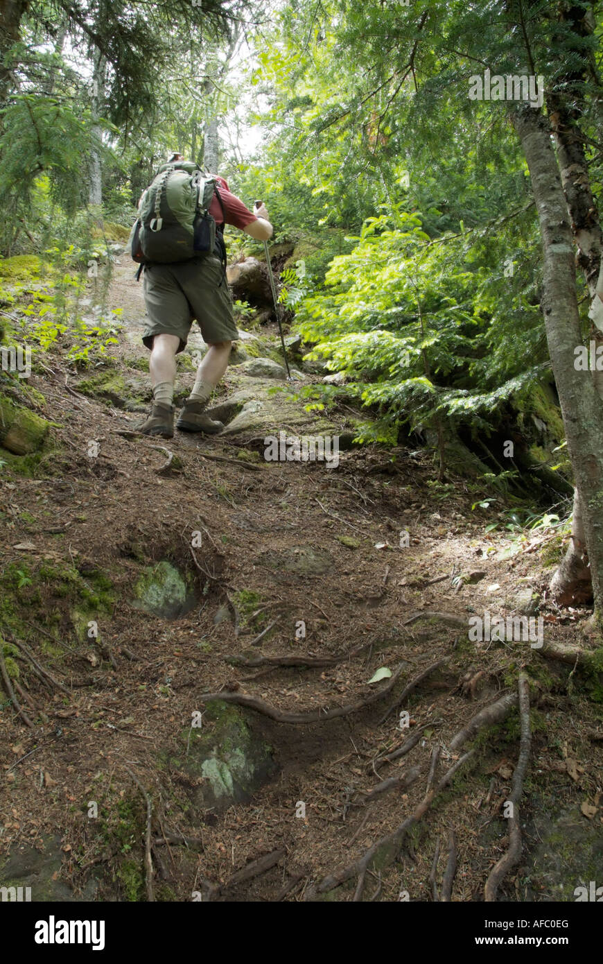Hiker on Howker Ridge Trail in the White Mountains, New Hampshire USA ...