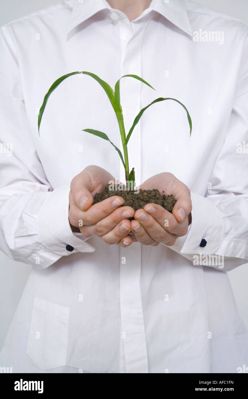 Hands holding a plant Stock Photo - Alamy