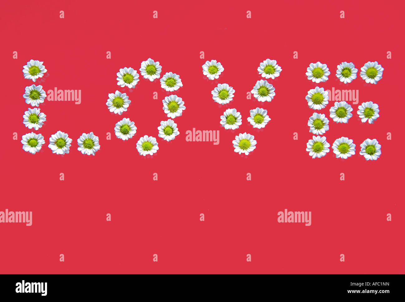 Love written with plants hi-res stock photography and images - Alamy
