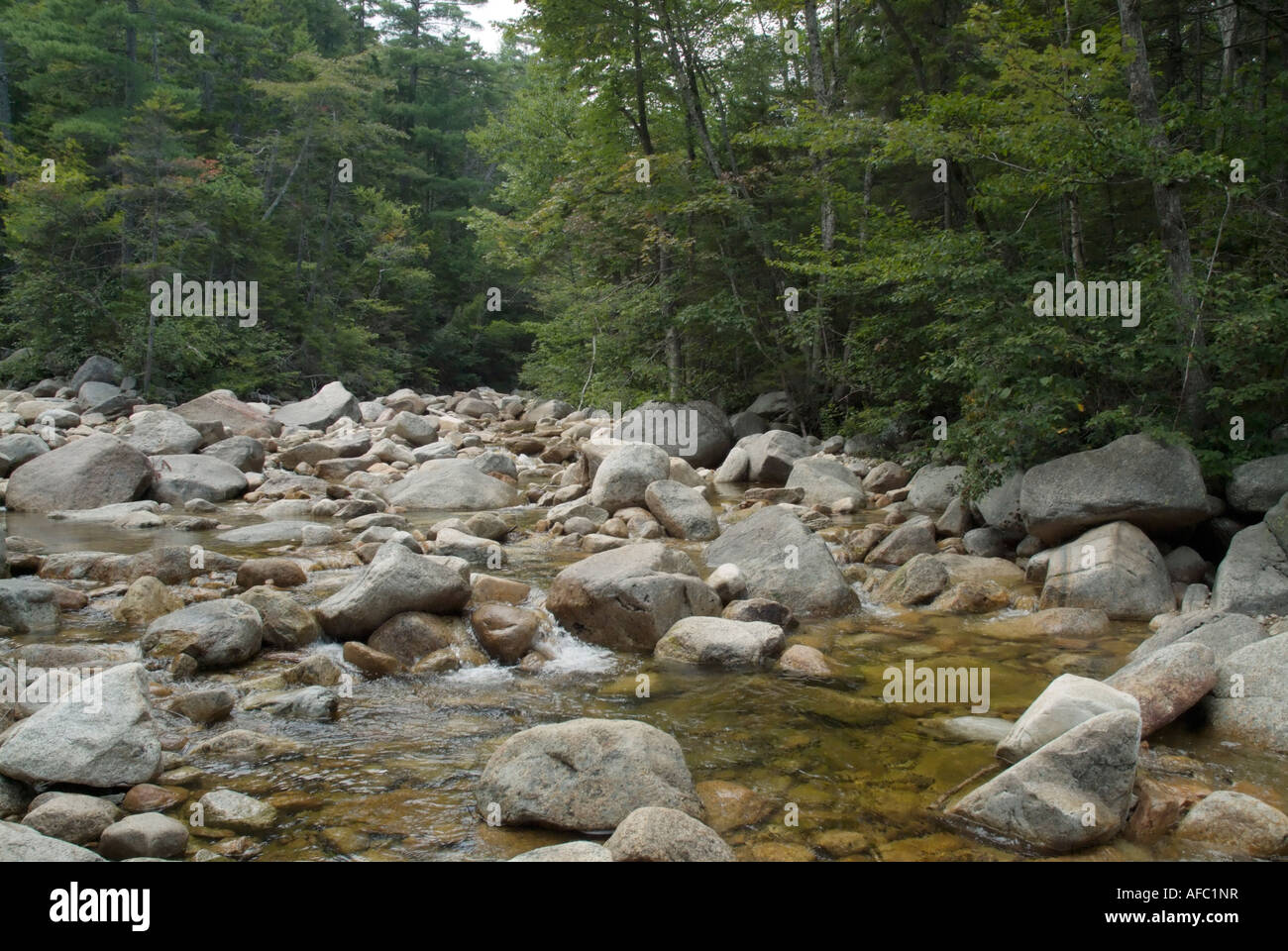 Sawyer River on Hancock Notch Trail during the summer months Located in ...