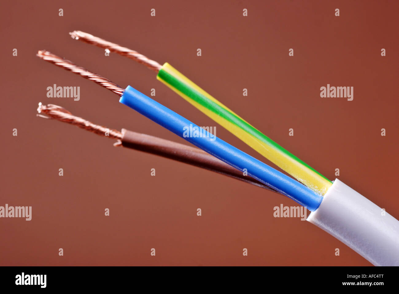 twin core and earth electrical cable wire Stock Photo - Alamy