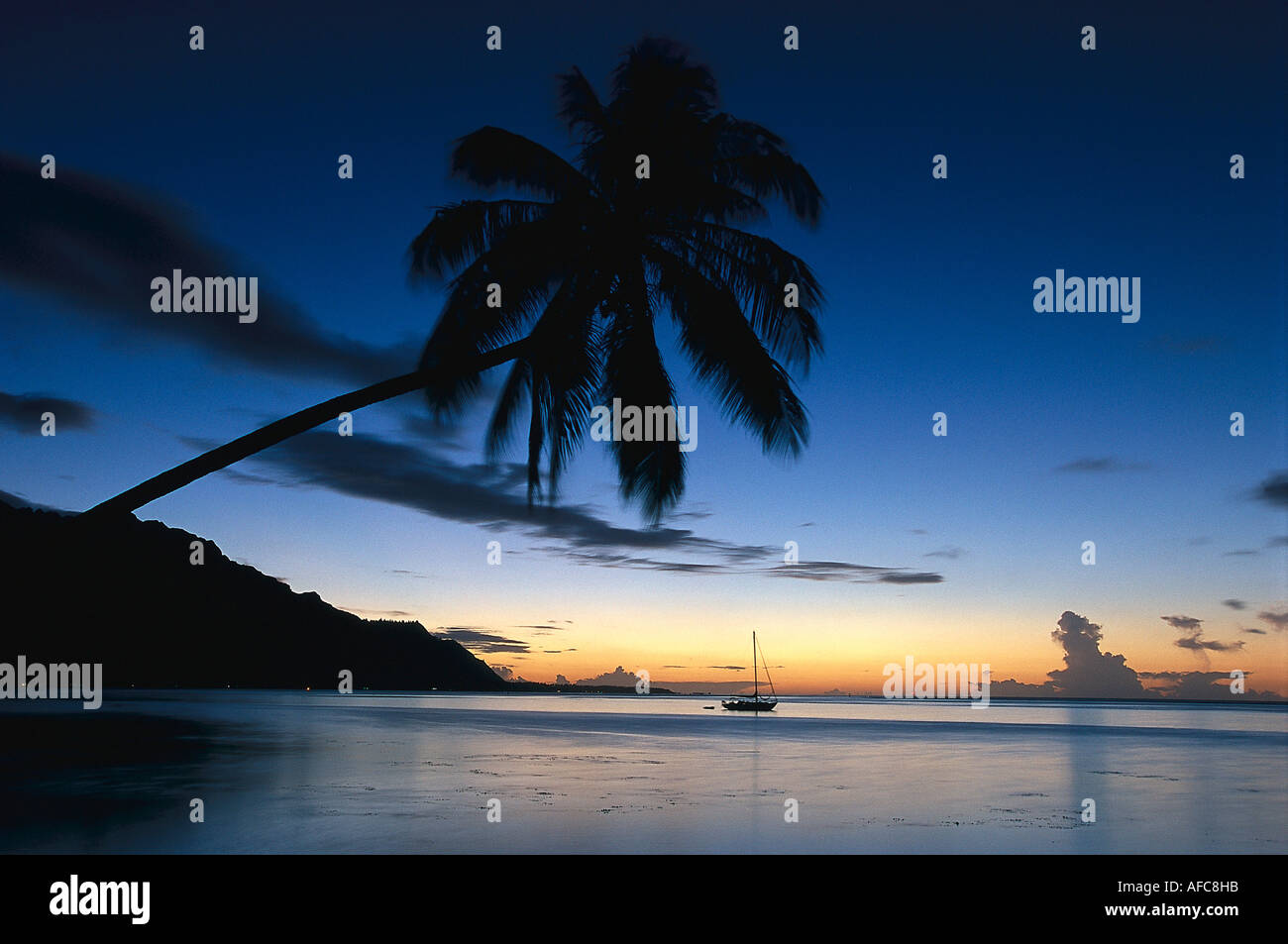 Coconut Tree & Yacht at Dusk, Moorea French Polynesia Stock Photo - Alamy