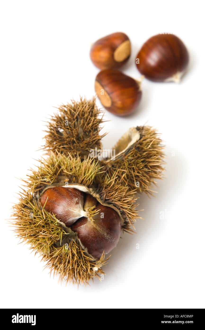Sweet chestnuts isolated on a white background Stock Photo - Alamy