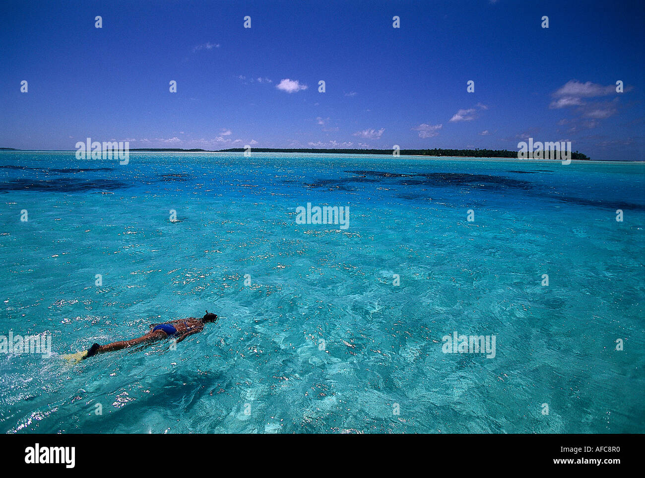 Cook islands snorkeling hi-res stock photography and images - Alamy
