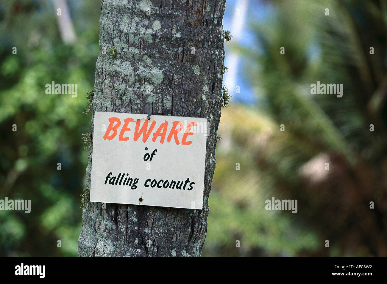 Falling Coconut Warning, Aitutaki Cook Islands Stock Photo - Alamy