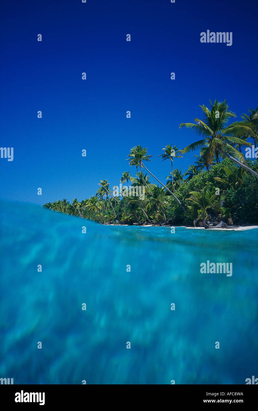 One Foot Island, Aitutaki Lagoon Cook Islands Stock Photo - Alamy