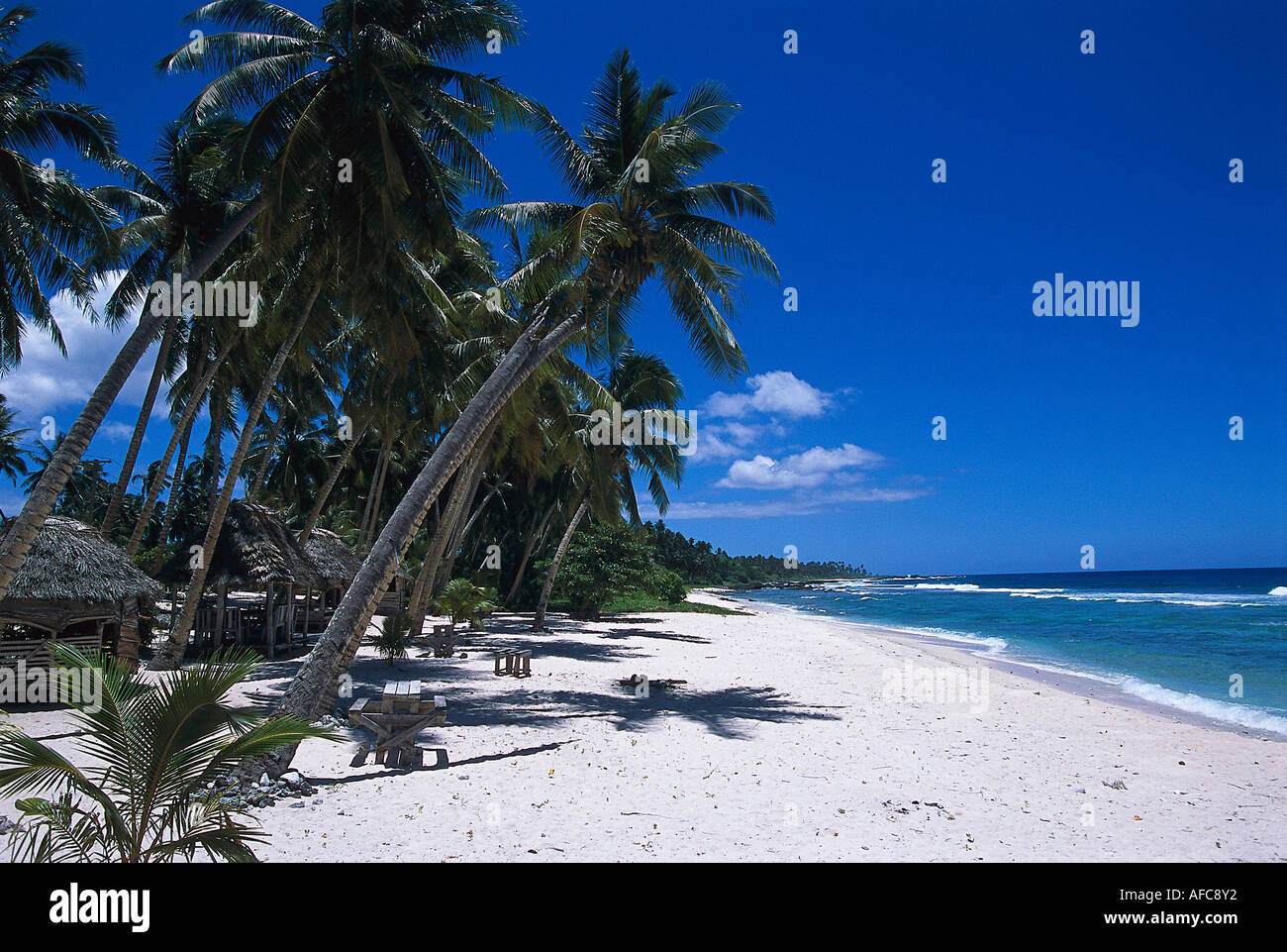 Tanumatiu Beach, Falealupo Peninsula Savai'i, Samoa Stock Photo - Alamy