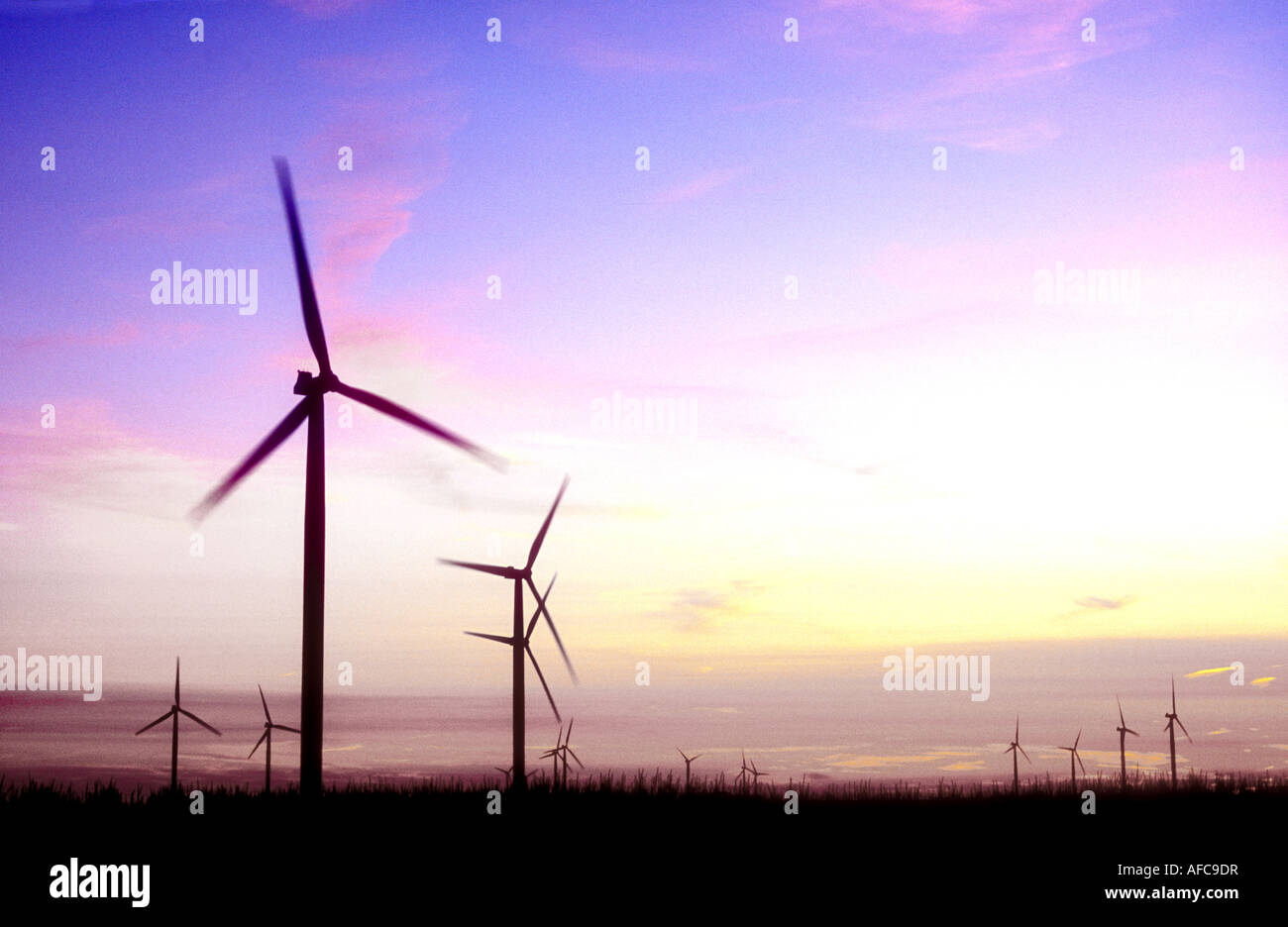 Wind turbine energy farm Stock Photo - Alamy