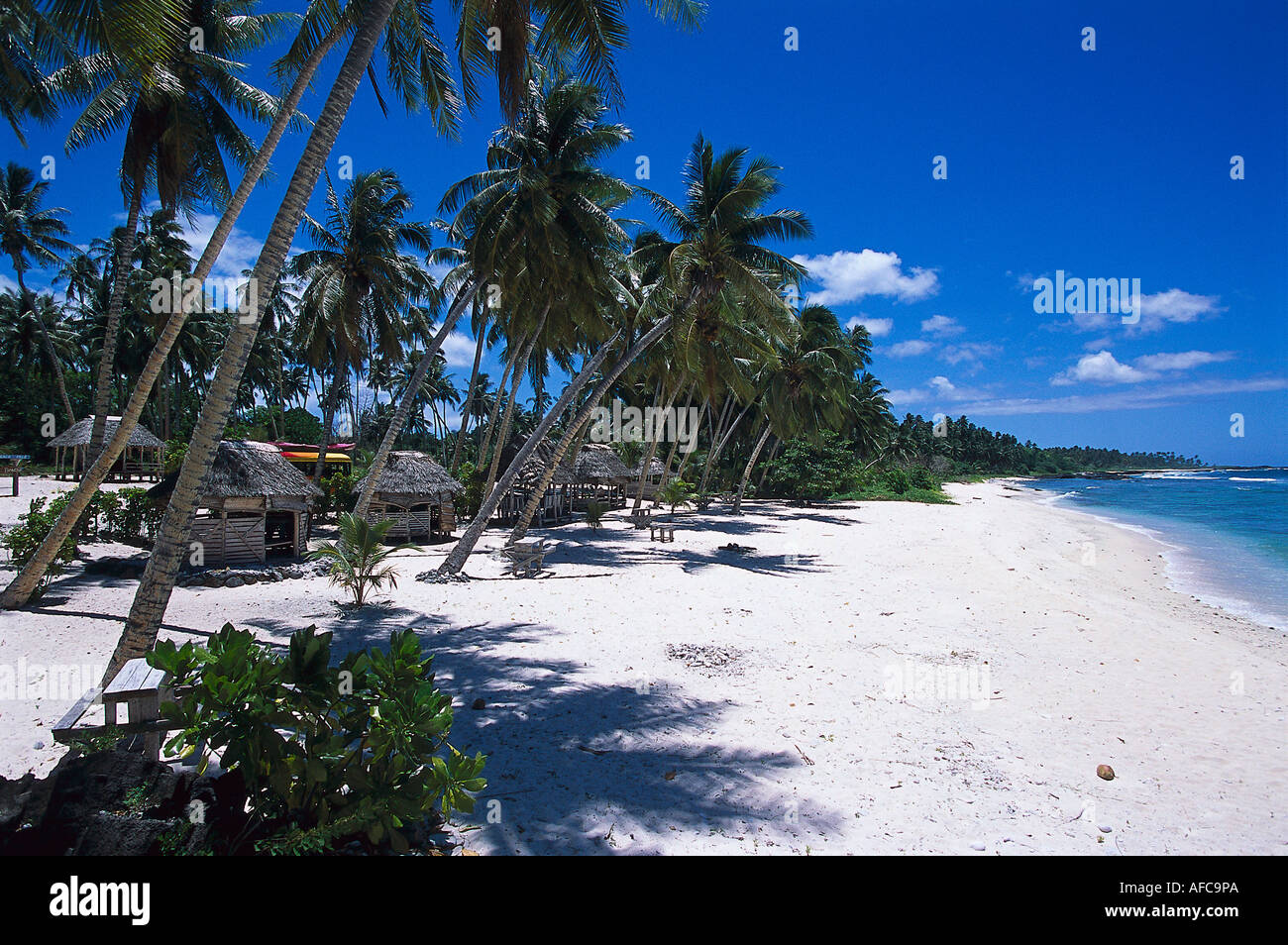 Tanumatiu Beach, Falealupo Peninsula Savai'i, Samoa Stock Photo - Alamy