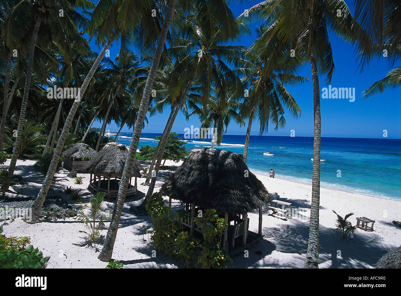 Beach Fales, Tanumatiu Beach, Falealupo Penisnsula Savai'i, Samoa Stock ...
