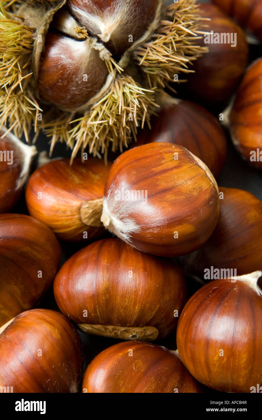 Chestnut casings hi-res stock photography and images - Alamy