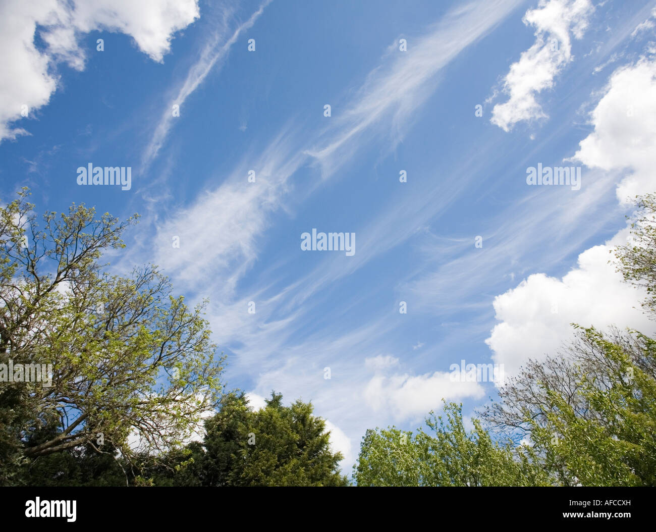 Scattered frames hi-res stock photography and images - Alamy