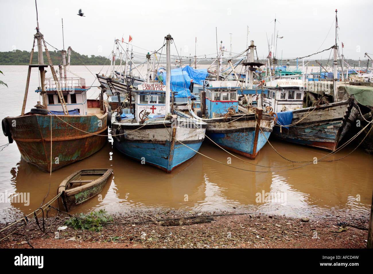 Fishing boats on mooring on muddy Zuari River in Cortalim Marmugao ...