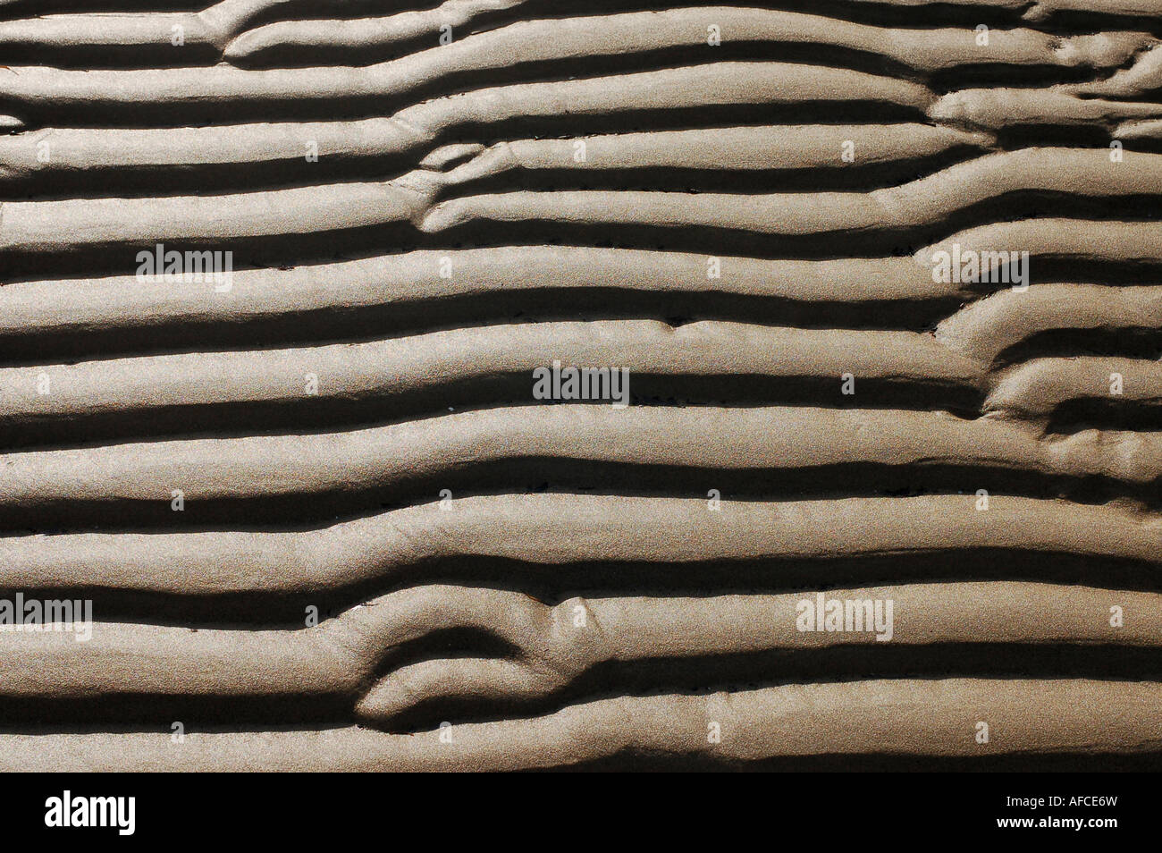 structures in wet sand during low tide Stock Photo - Alamy