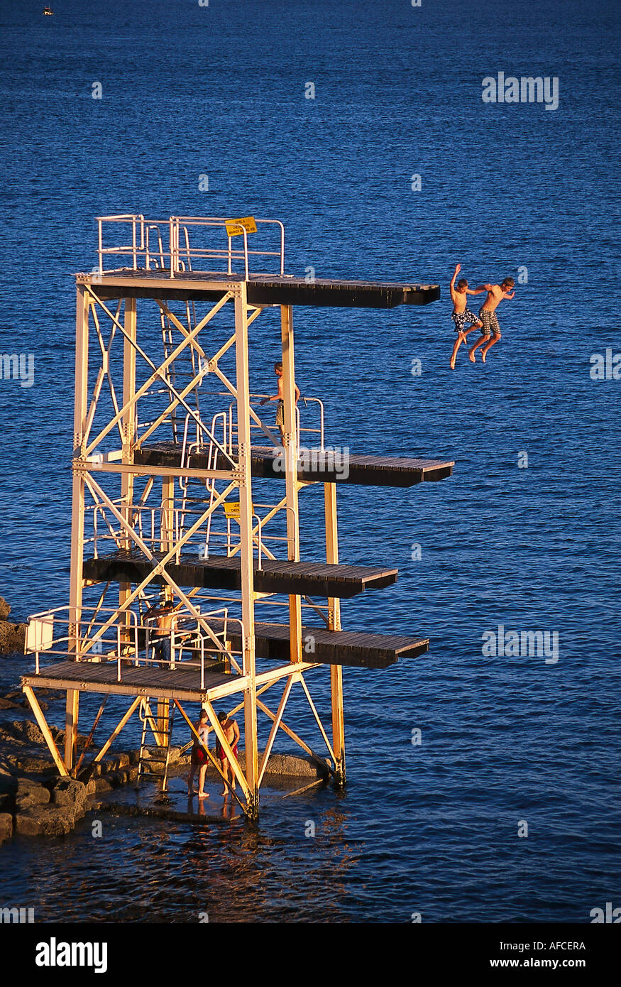 Jumping into Plymouth Sound, Plymouth, Devon England Stock Photo - Alamy