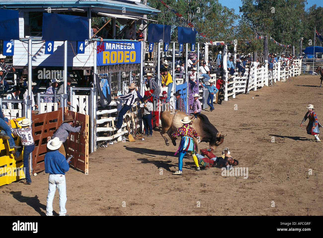 Mareeba Rodeo, Mareeba Queensland, Australia Stock Photo - Alamy