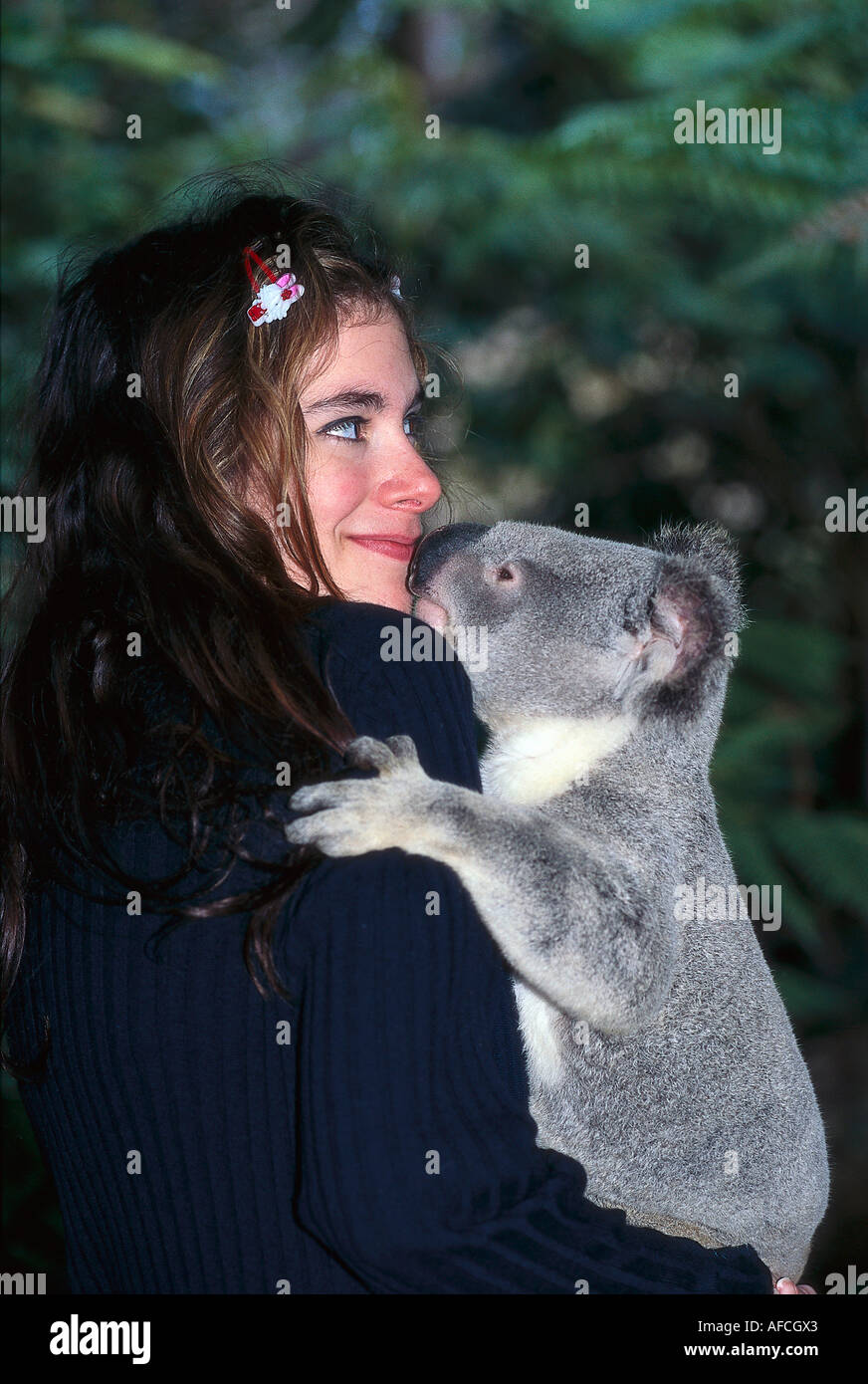 Hugging a Koala, Lone Pine Koala Sanctuary Brisbane, Queensland ...