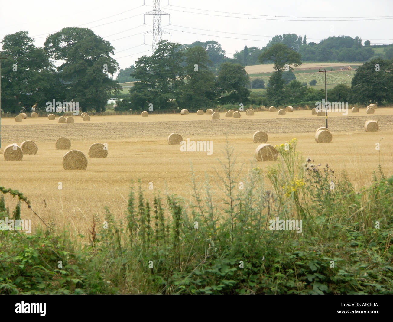 Year round crop production hi-res stock photography and images - Alamy