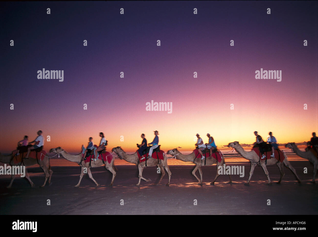 Cable Beach Sunset Camel Ride, Broome WA, Australia Stock Photo - Alamy