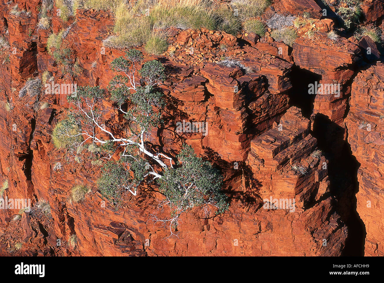 Yampire gorge hi-res stock photography and images - Alamy
