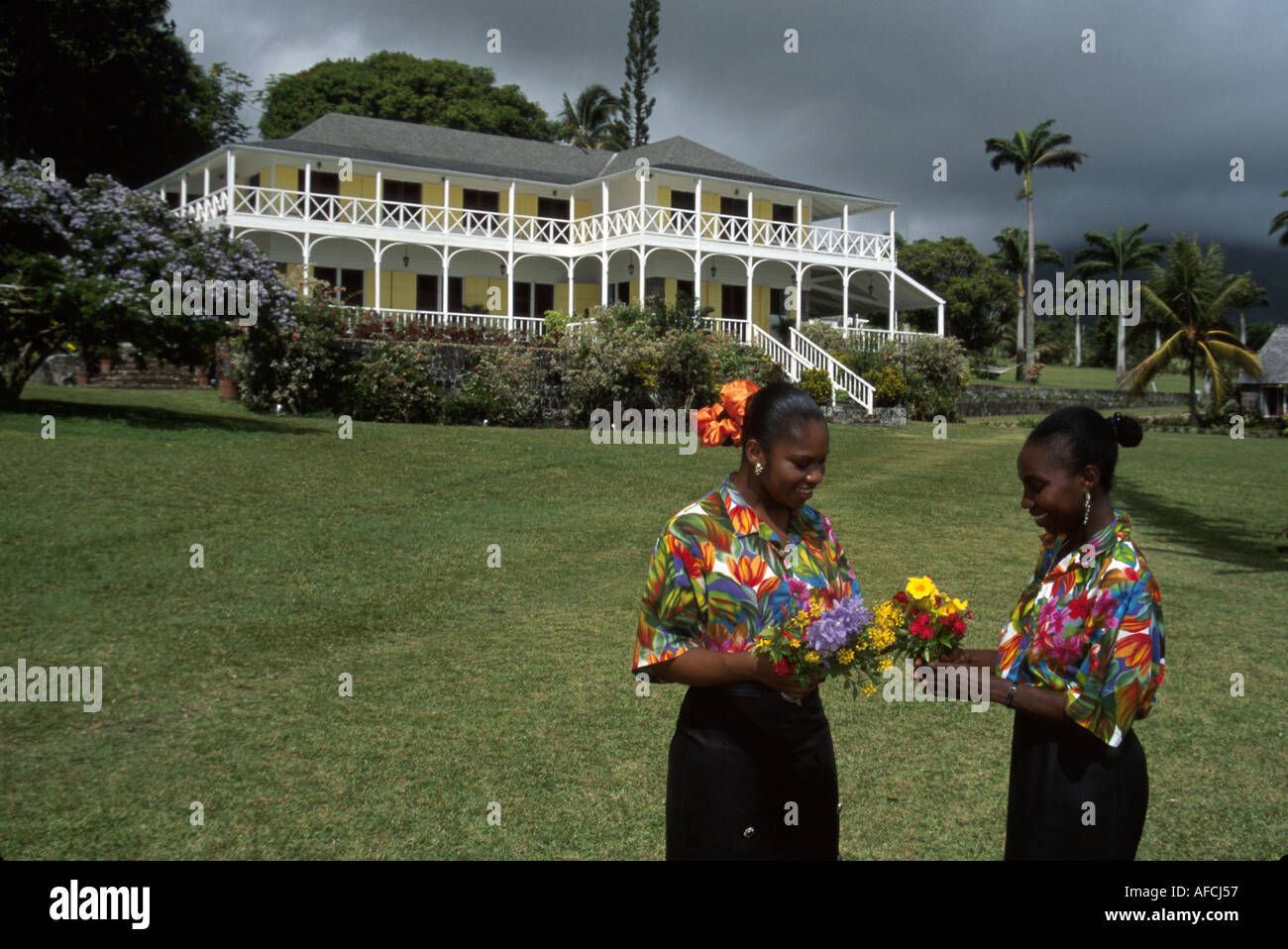 St. Kitts,Nevis,West Indies,Leeward Islands,Caribbean Sea water Lesser ...