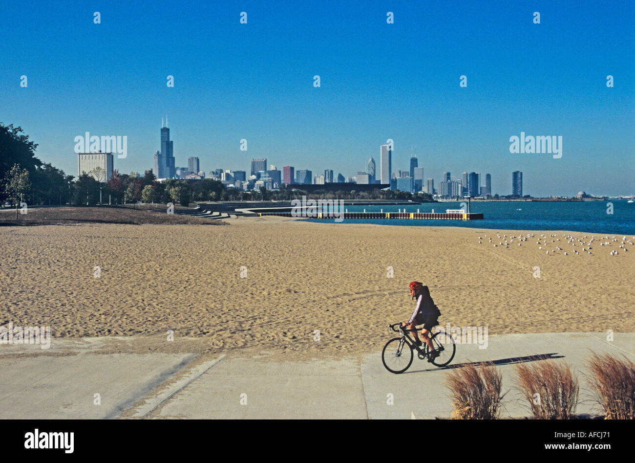 Chicago's famous skyline in the hazy distance beyond the golden sands ...