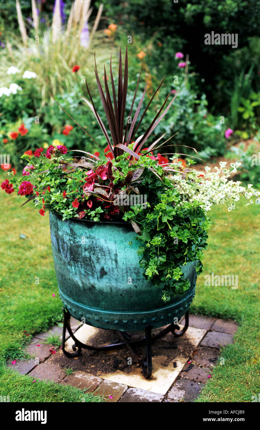 EXAMPLE OF FLOWERS AND PLANTS GROWING IN CONTAINER Stock Photo - Alamy