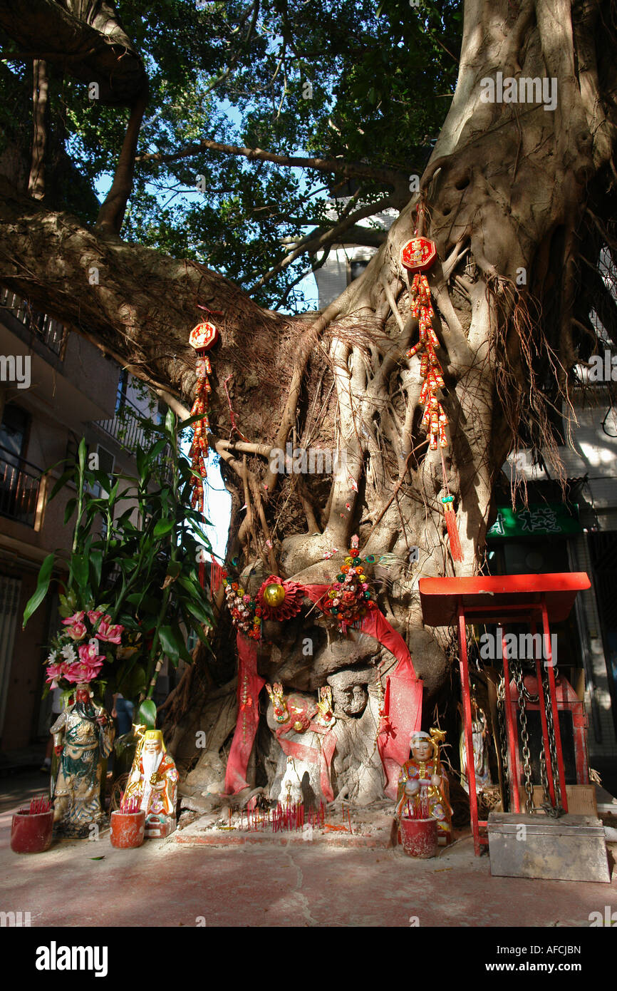 Tree goddess hi-res stock photography and images - Alamy