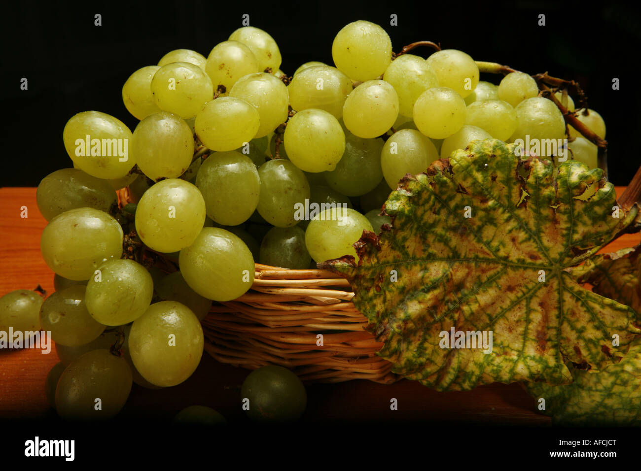 Red grapes water drops studio hi-res stock photography and images - Alamy