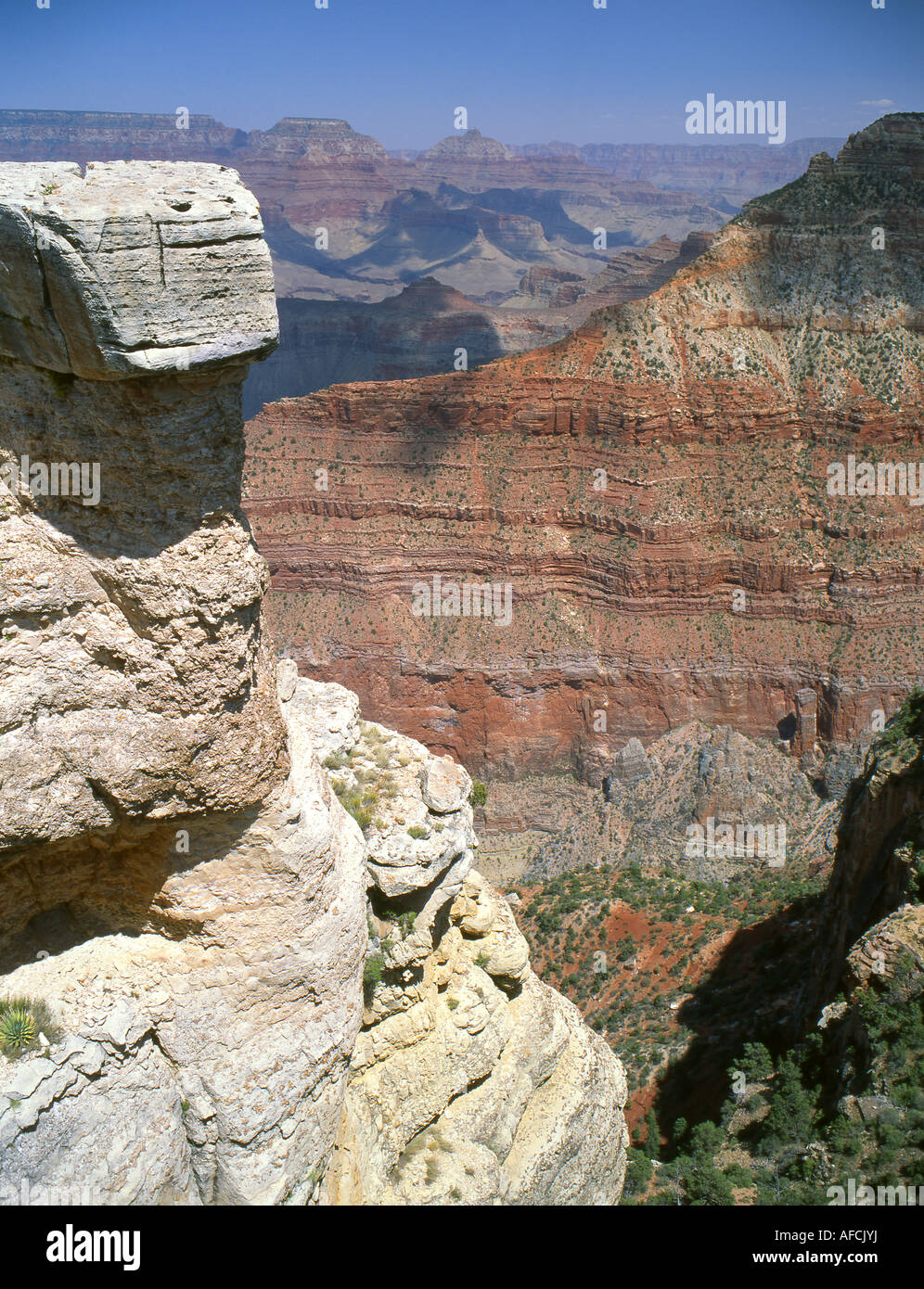 The North Rim, Grand Canyon, Arizona, USA Stock Photo - Alamy