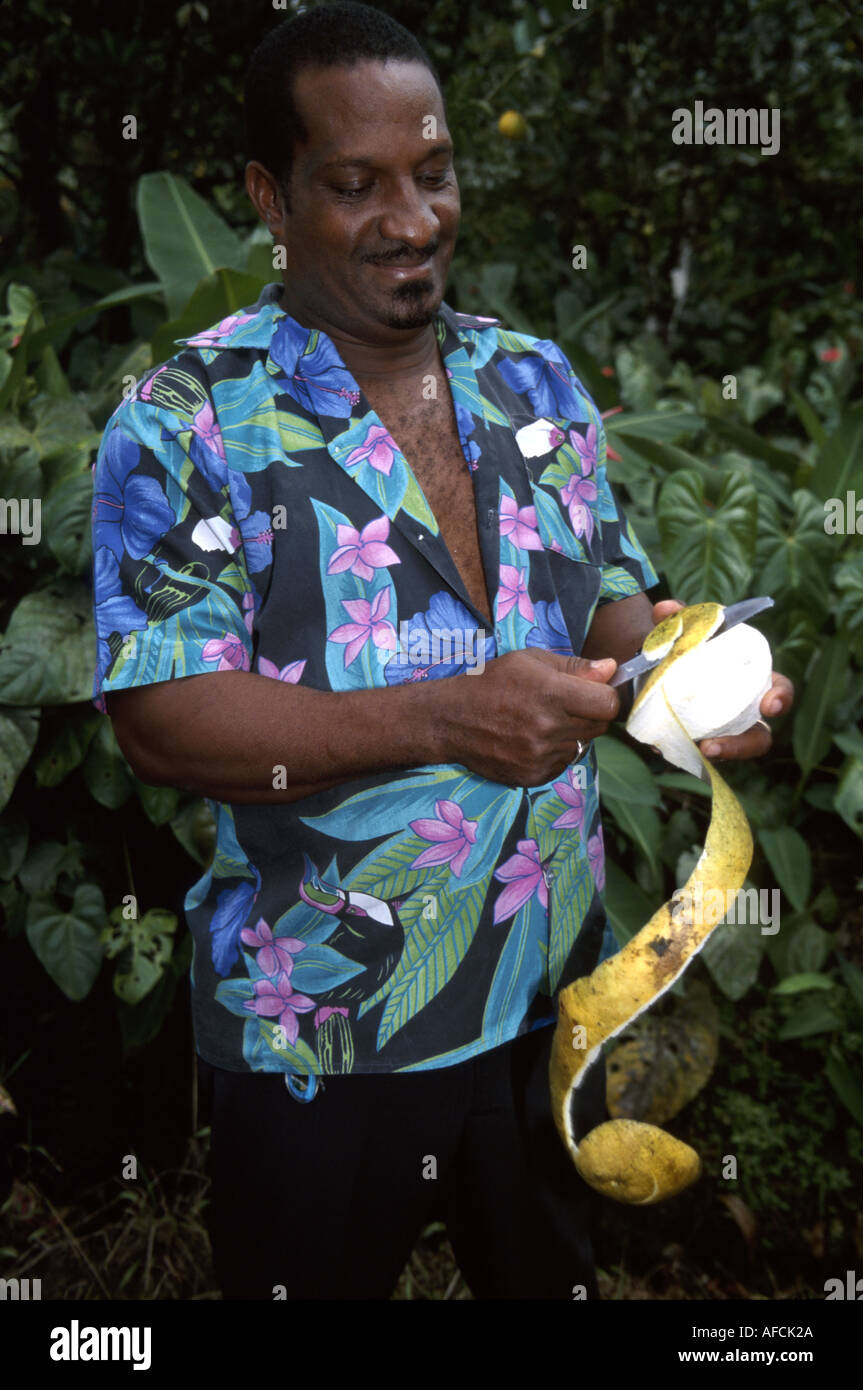 St. Lucia,West Indies,Windward Islands,Eastern Caribbean,Lesser ...