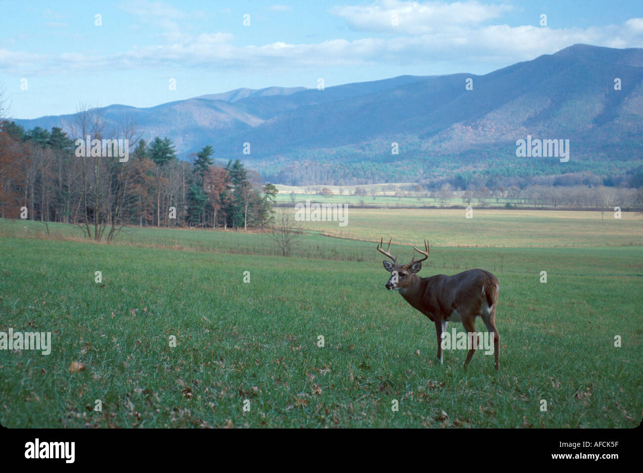 Tennessee Great Smoky Mountains National Park,Federal land,nature ...