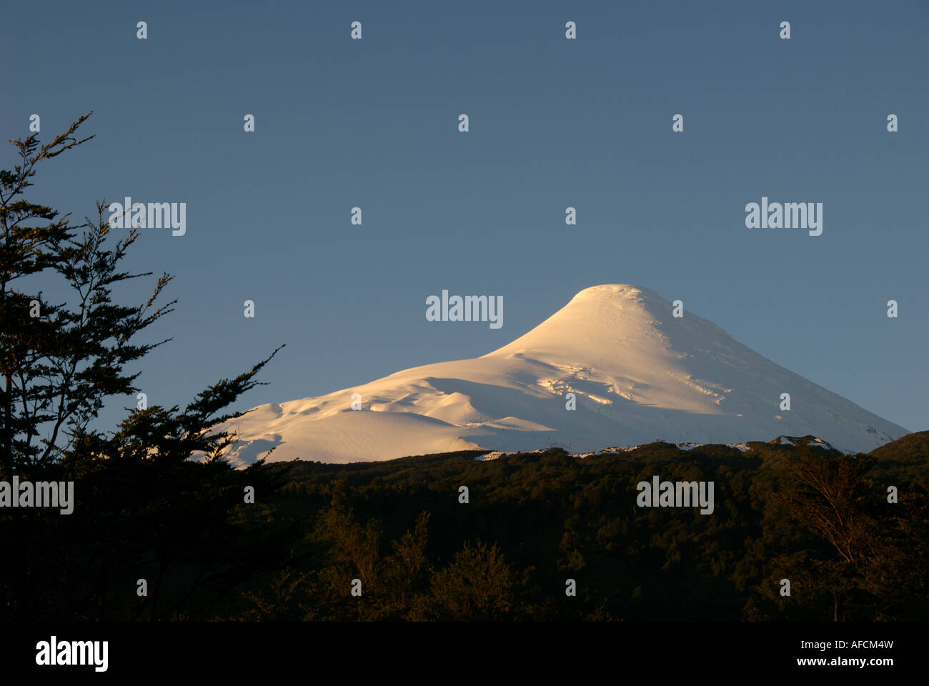 Volcan andes forest hi-res stock photography and images - Alamy