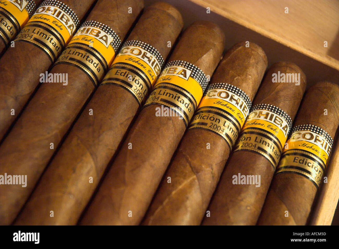 Cuba Havana cigars in a box Cohiba limited edition close up Stock Photo ...