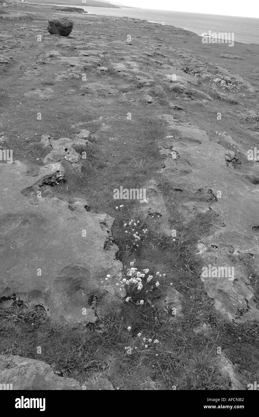 Clare countryside Black and White Stock Photos & Images - Alamy