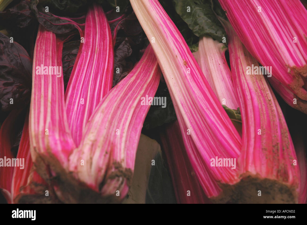 Bunches of chard hi-res stock photography and images - Alamy