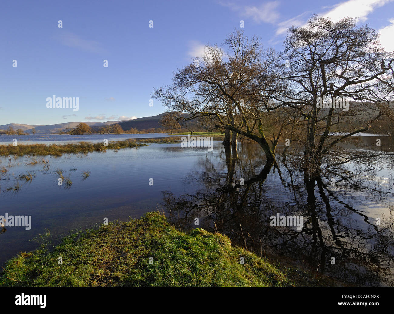 Flood water line uk hi-res stock photography and images - Alamy