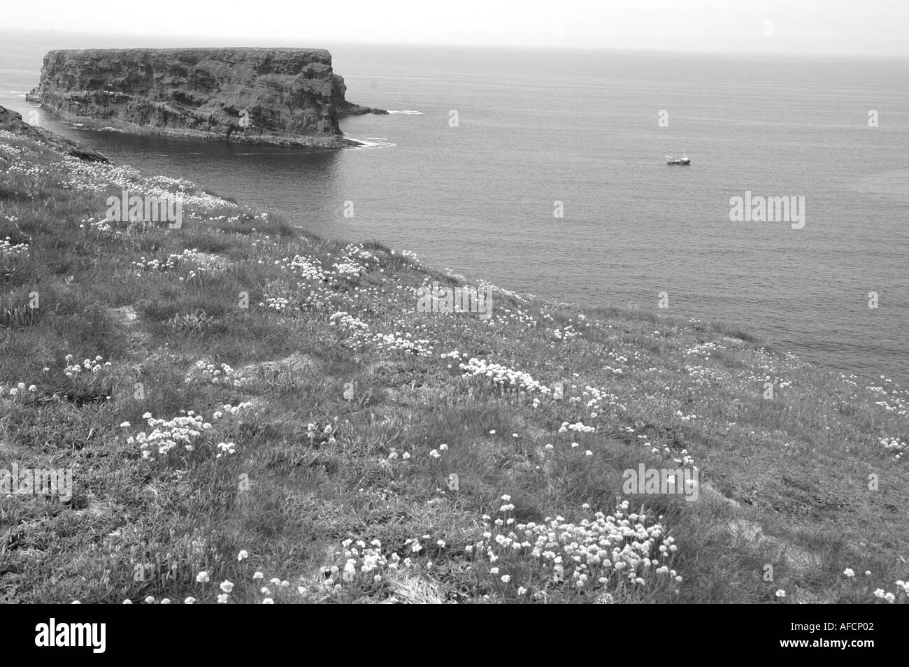 Cliffs moher Black and White Stock Photos & Images - Alamy