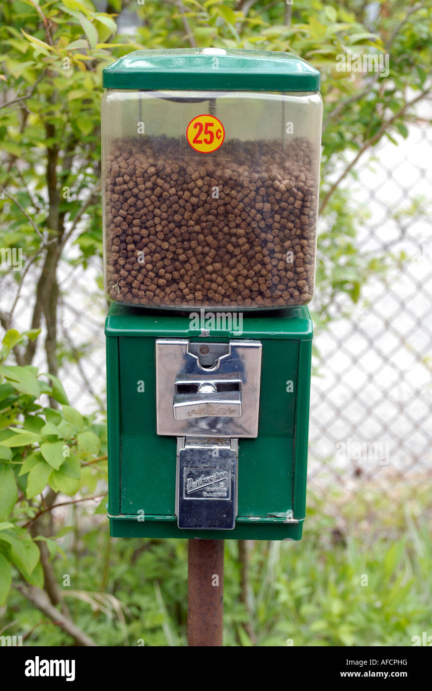 Cold Spring Harbor Fish Hatchery on Long Island Trout are raised in ...
