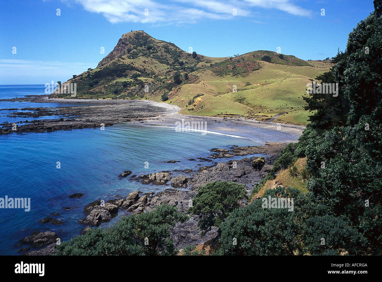 Coastline near Fletcher Bay, Coromandel Peninsula, North Island New ...