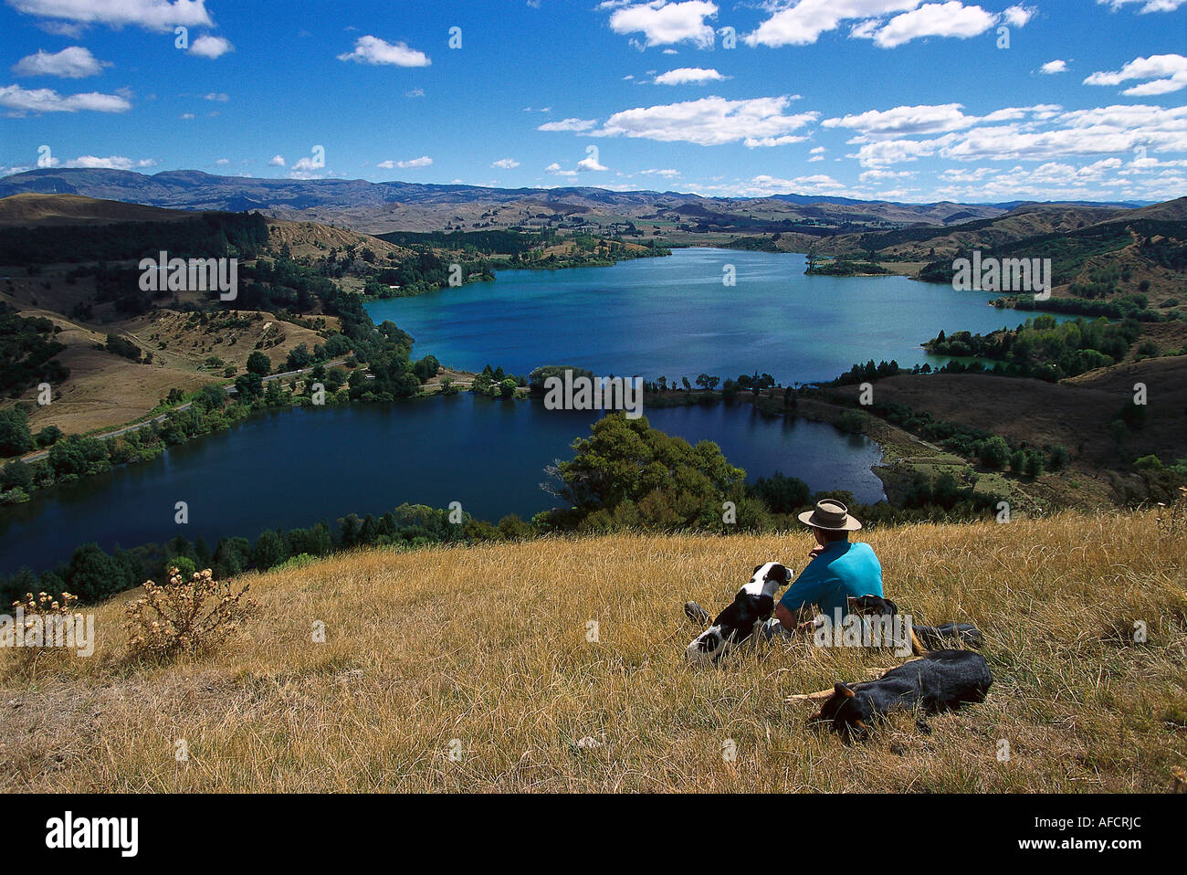 Sheep Farmer, Lake Tutira, Hawkes Bay, North Island New Zealand Stock ...